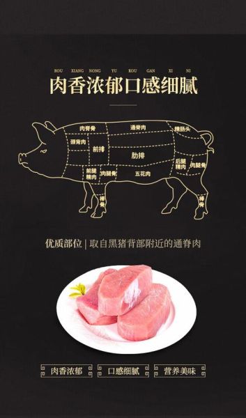 里脊肉是哪个部位_里脊肉图片位置图解-第2张图片-山城妙识