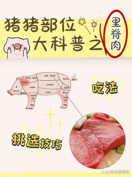 里脊肉是哪个部位_里脊肉图片位置图解-第1张图片-山城妙识