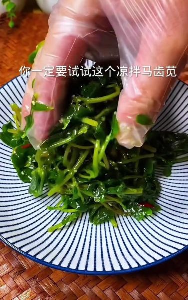 马生菜怎么吃_马生菜的做法大全-第3张图片-山城妙识