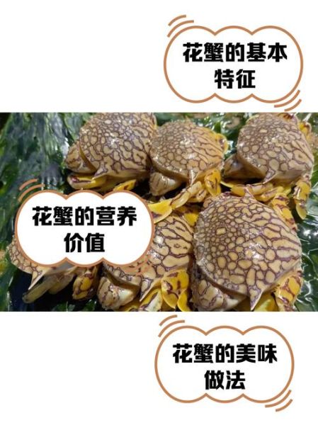 三眼蟹和花蟹的区别_哪个更好吃-第1张图片-山城妙识
