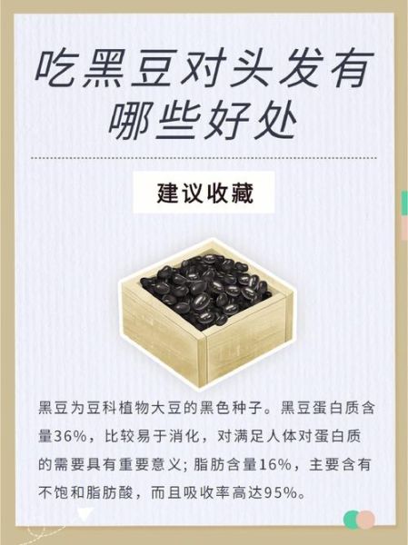 黑豆的功效与作用_黑豆的食用方法和禁忌-第2张图片-山城妙识