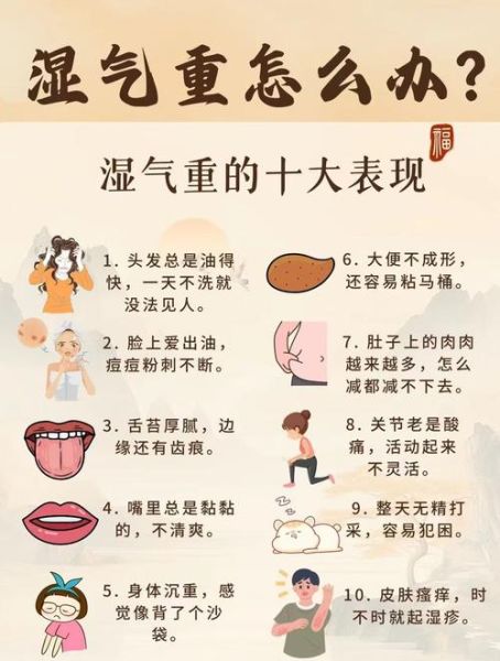 体内湿气重怎么调理_去湿气最好的方法-第3张图片-山城妙识 体内湿气重怎么调理_去湿气最好的方法-第3张图片-山城妙识