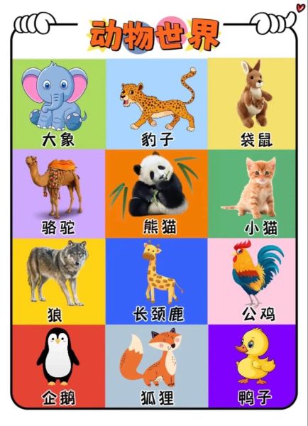 动物种类有哪些_100种常见动物分类大全-第3张图片-山城妙识