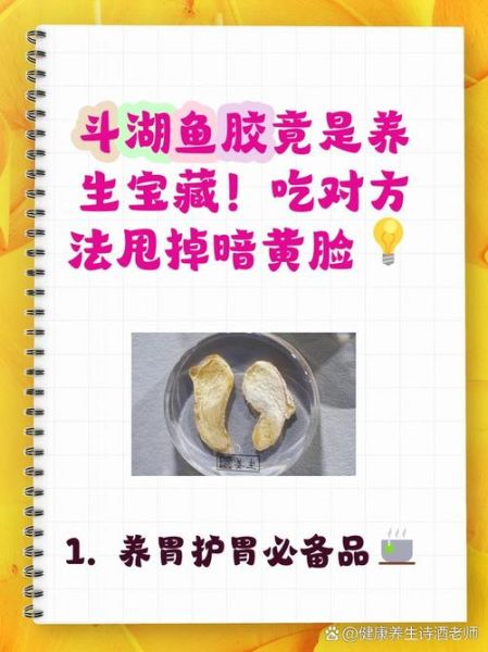 鱼胶的功效与作用_鱼胶怎么泡发才正确-第2张图片-山城妙识