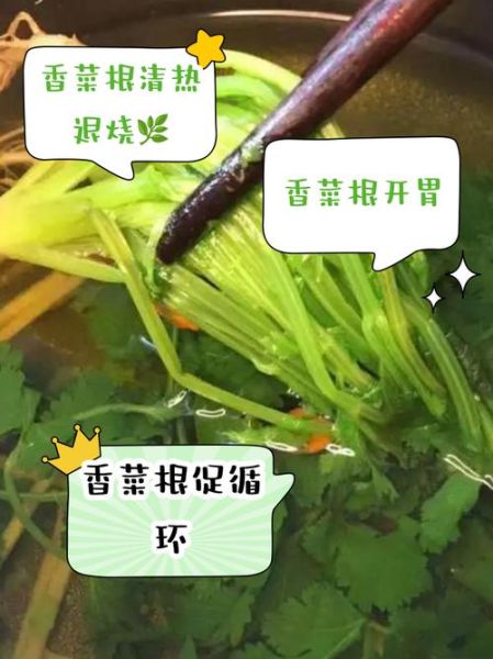 香菜根煮水洗脸有什么好处_怎么用效果最好-第2张图片-山城妙识 香菜根煮水洗脸有什么好处_怎么用效果最好-第2张图片-山城妙识