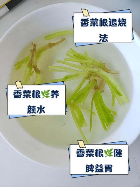 香菜根煮水洗脸有什么好处_怎么用效果最好-第1张图片-山城妙识 香菜根煮水洗脸有什么好处_怎么用效果最好-第1张图片-山城妙识
