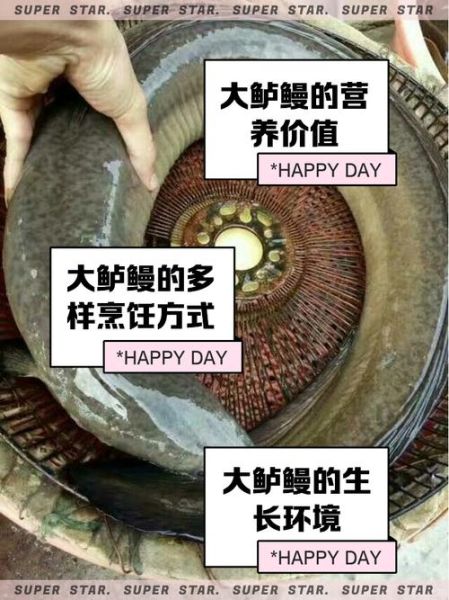 鲈鳗鱼的营养价值_适合什么人吃-第1张图片-山城妙识 鲈鳗鱼的营养价值_适合什么人吃-第1张图片-山城妙识