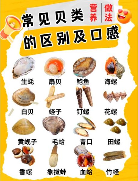 贝类海鲜有哪些_如何挑选最新鲜的贝类-第1张图片-山城妙识 贝类海鲜有哪些_如何挑选最新鲜的贝类-第1张图片-山城妙识