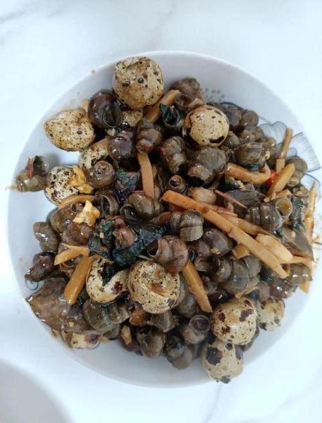 石螺怎么做好吃_石螺图片高清实拍-第1张图片-山城妙识 石螺怎么做好吃_石螺图片高清实拍-第1张图片-山城妙识