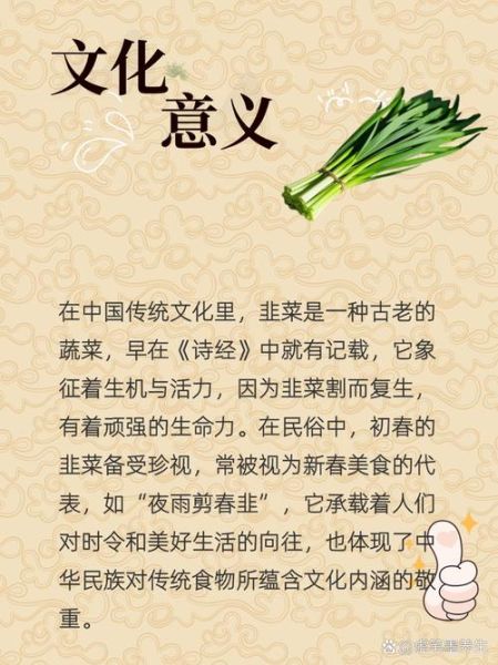 韭菜的营养价值_韭菜的功效与作用-第3张图片-山城妙识 韭菜的营养价值_韭菜的功效与作用-第3张图片-山城妙识