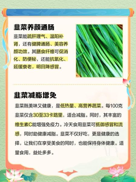 韭菜的营养价值_韭菜的功效与作用-第1张图片-山城妙识 韭菜的营养价值_韭菜的功效与作用-第1张图片-山城妙识