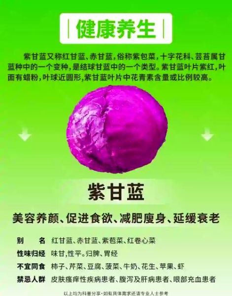 甘蓝为什么叫甘蓝_甘蓝名字的由来-第3张图片-山城妙识 甘蓝为什么叫甘蓝_甘蓝名字的由来-第3张图片-山城妙识