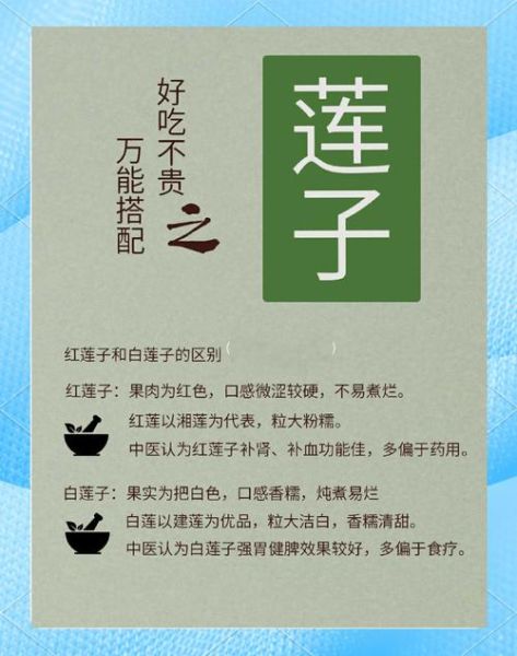 长期吃莲子的副作用_莲子吃多了会上火吗-第3张图片-山城妙识 长期吃莲子的副作用_莲子吃多了会上火吗-第3张图片-山城妙识