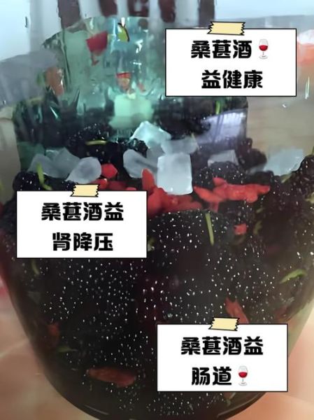 桑葚酒的功效与作用有哪些_桑葚酒主治什么-第2张图片-山城妙识