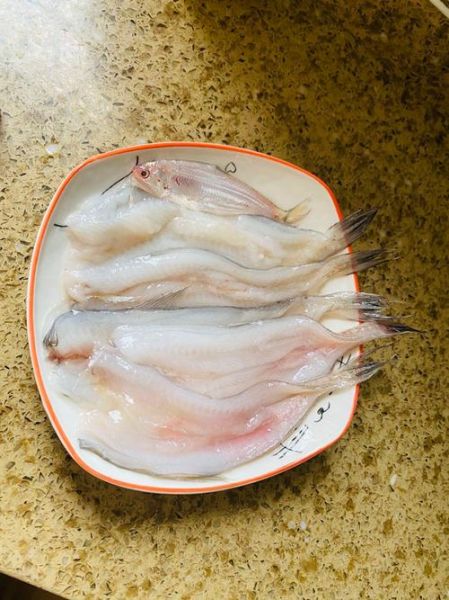 龙头鱼怎么做好吃_家常龙头鱼做法步骤-第3张图片-山城妙识 龙头鱼怎么做好吃_家常龙头鱼做法步骤-第3张图片-山城妙识