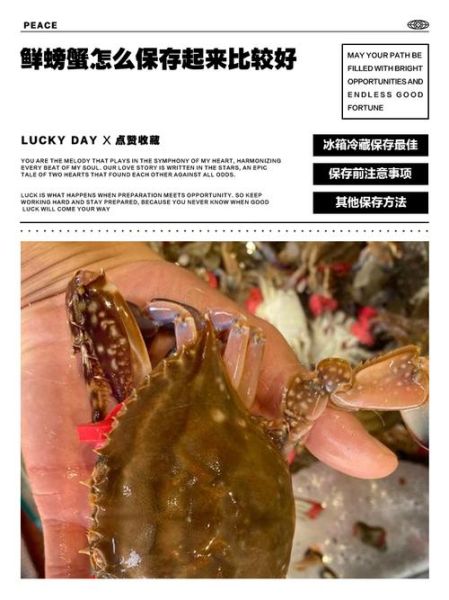 活螃蟹怎么保存才新鲜_活螃蟹能放冰箱吗-第2张图片-山城妙识 活螃蟹怎么保存才新鲜_活螃蟹能放冰箱吗-第2张图片-山城妙识