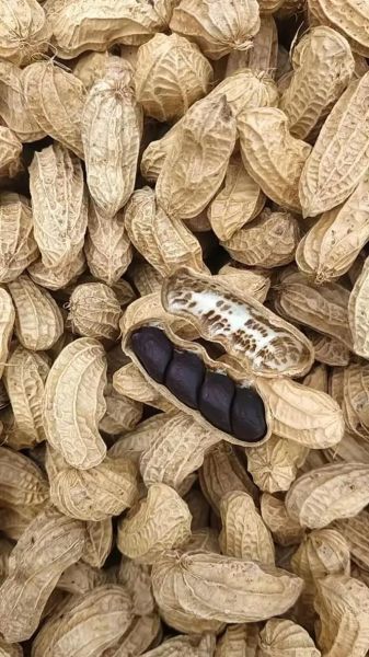 黑皮花生多少钱一斤_黑皮花生价格行情-第1张图片-山城妙识