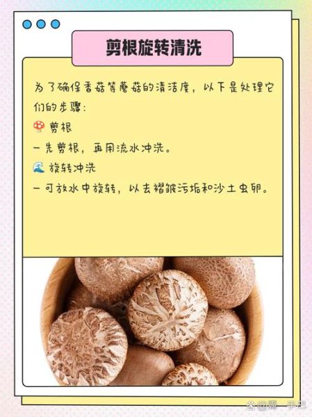 新鲜松蘑怎么处理_松蘑清洗去泥沙技巧-第3张图片-山城妙识 新鲜松蘑怎么处理_松蘑清洗去泥沙技巧-第3张图片-山城妙识