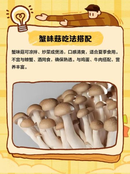 蟹味菇禁忌人群有哪些_孕妇能吃蟹味菇吗-第1张图片-山城妙识