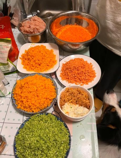 颗粒狗粮怎么做_自制狗粮配方比例-第3张图片-山城妙识