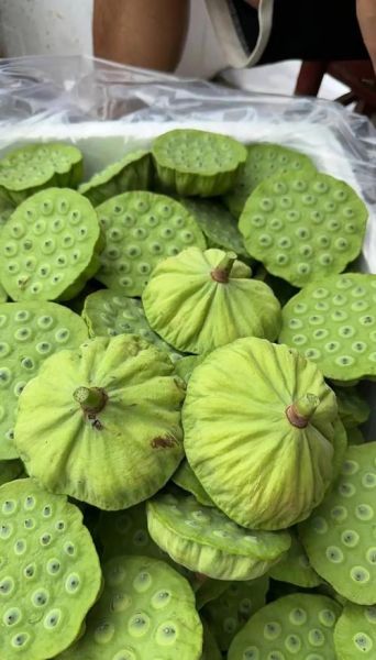 莲蓬怎么保存新鲜_莲蓬可以放冰箱吗-第1张图片-山城妙识