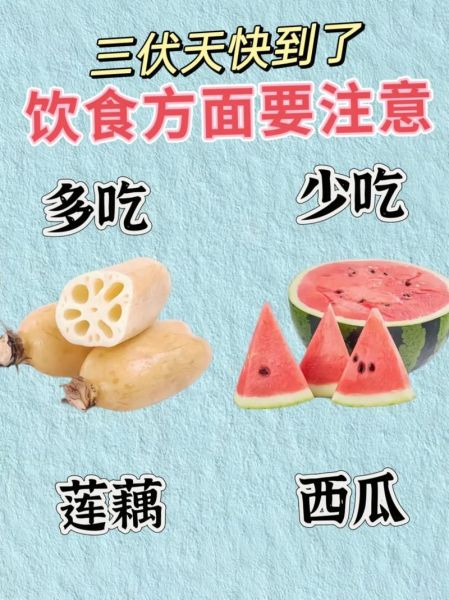 夏季饮食小常识_夏天吃什么好-第1张图片-山城妙识