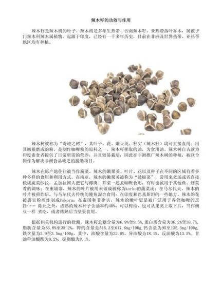 辣木籽的功效与作用_辣木籽的正确吃法-第2张图片-山城妙识