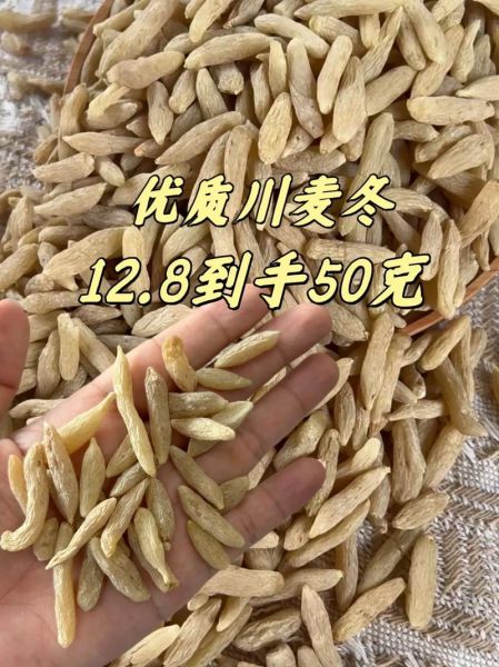 麦冬价格多少钱一斤_麦冬价格走势2024-第2张图片-山城妙识