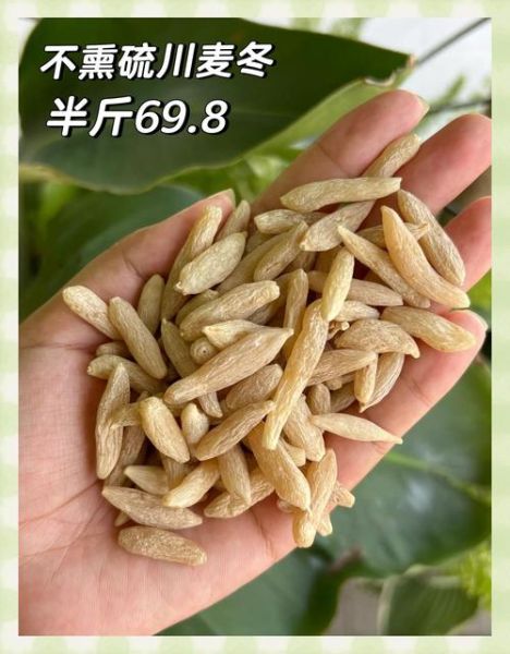 麦冬价格多少钱一斤_麦冬价格走势2024-第1张图片-山城妙识