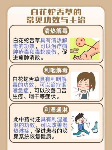 白花蛇舌草的功效与作用_白花蛇舌草的禁忌-第2张图片-山城妙识