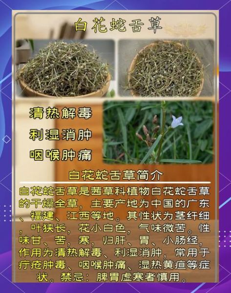 白花蛇舌草的功效与作用_白花蛇舌草的禁忌-第1张图片-山城妙识