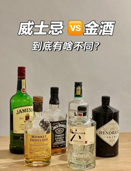 金酒是什么酒_金酒和威士忌的区别-第1张图片-山城妙识