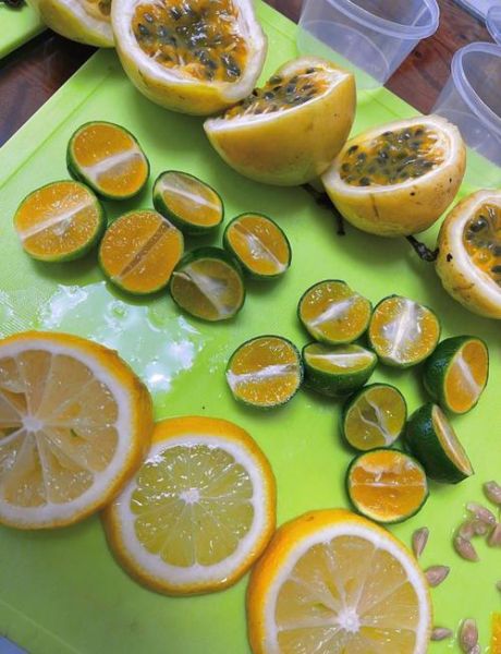 百香果蜂蜜绿茶怎么做_百香果蜂蜜绿茶的做法步骤-第1张图片-山城妙识 百香果蜂蜜绿茶怎么做_百香果蜂蜜绿茶的做法步骤-第1张图片-山城妙识