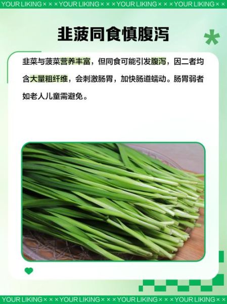 韭菜壮阳是真的吗_韭菜不能和什么一起吃-第3张图片-山城妙识 韭菜壮阳是真的吗_韭菜不能和什么一起吃-第3张图片-山城妙识