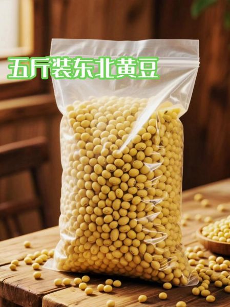 黄豆煮熟了打豆浆有毒吗_生黄豆与熟黄豆区别-第3张图片-山城妙识