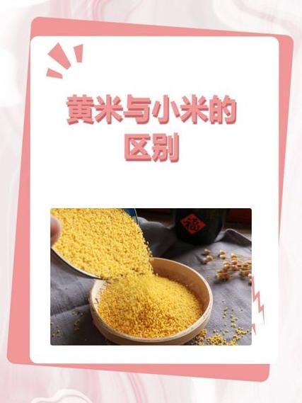 黄米是什么_黄米和小米的区别-第3张图片-山城妙识 黄米是什么_黄米和小米的区别-第3张图片-山城妙识