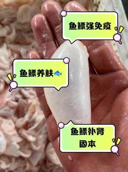 鱼鳔是什么部位_鱼鳔有什么作用-第3张图片-山城妙识