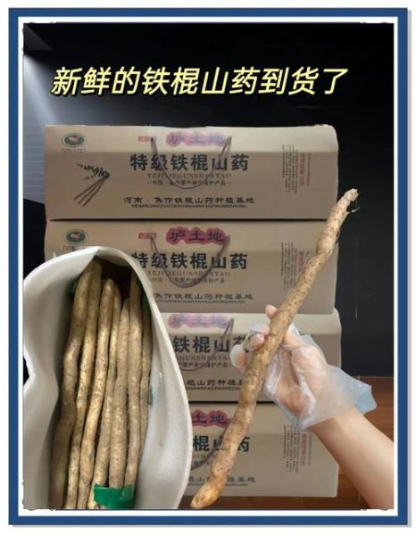 铁棍山药的功效与作用_孕妇能吃吗-第2张图片-山城妙识 铁棍山药的功效与作用_孕妇能吃吗-第2张图片-山城妙识