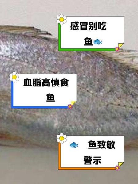 鮸鱼的功效与作用_鮸鱼怎么吃最营养-第2张图片-山城妙识 鮸鱼的功效与作用_鮸鱼怎么吃最营养-第2张图片-山城妙识