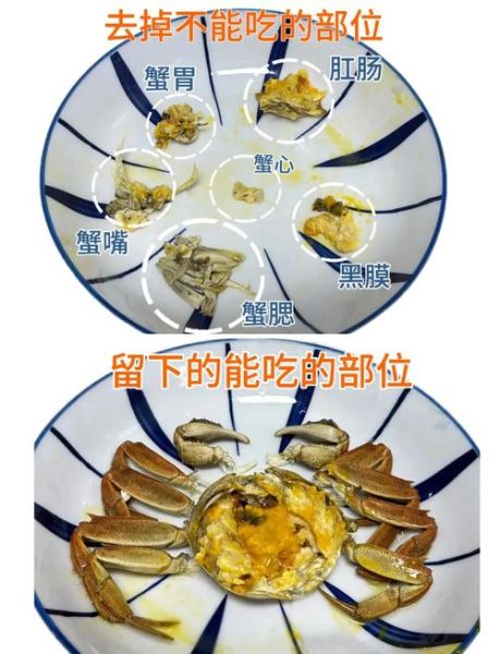 螃蟹哪些部位可以吃_图解蟹黄蟹膏位置-第2张图片-山城妙识 螃蟹哪些部位可以吃_图解蟹黄蟹膏位置-第2张图片-山城妙识