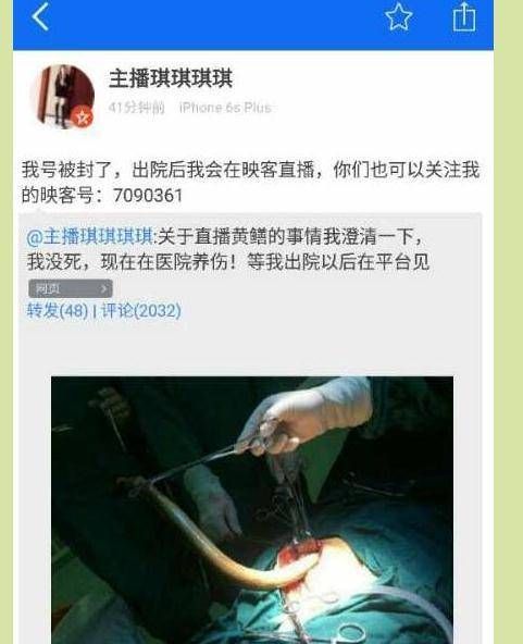 黄鳝女主播还活着吗_黄鳝门事件真相-第1张图片-山城妙识