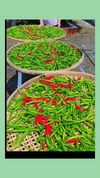 辣白菜料怎么做_正宗配方比例是多少-第1张图片-山城妙识 辣白菜料怎么做_正宗配方比例是多少-第1张图片-山城妙识