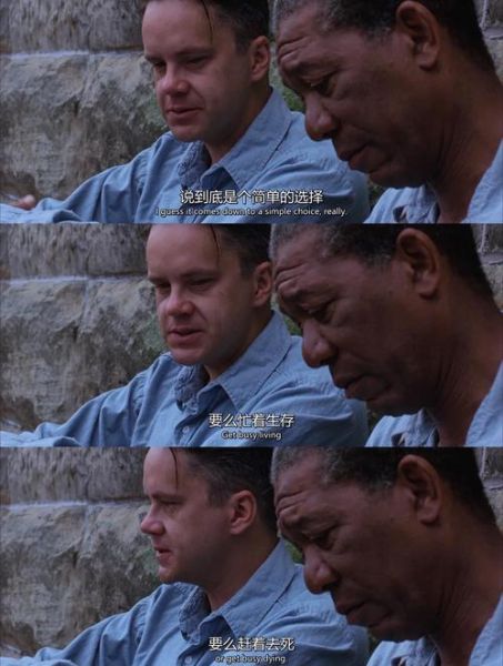 豆瓣高分电影有哪些_为什么肖申克的救赎长期霸榜-第3张图片-山城妙识 豆瓣高分电影有哪些_为什么肖申克的救赎长期霸榜-第3张图片-山城妙识