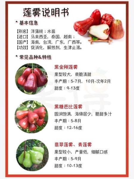 莲雾怎么挑选_莲雾图片大全-第1张图片-山城妙识 莲雾怎么挑选_莲雾图片大全-第1张图片-山城妙识