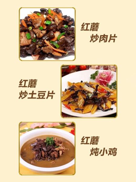 红蘑怎么做好吃_红蘑产地在哪里-第1张图片-山城妙识 红蘑怎么做好吃_红蘑产地在哪里-第1张图片-山城妙识