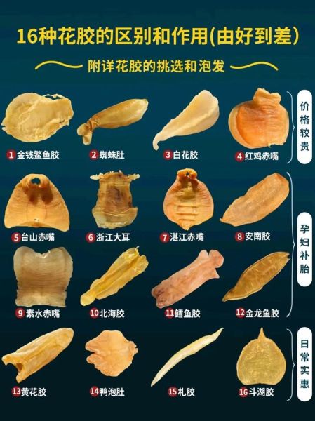 鳘鱼胶多少钱一斤_鳘鱼胶怎么辨别真假-第1张图片-山城妙识