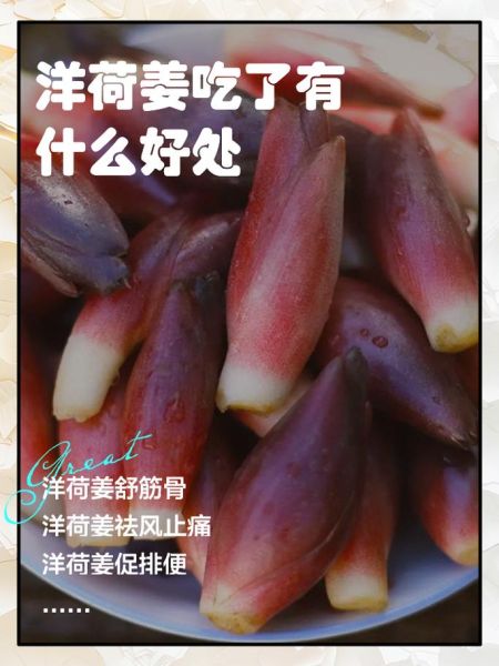 洋荷姜的功效与作用_洋荷姜怎么吃效果最好-第1张图片-山城妙识 洋荷姜的功效与作用_洋荷姜怎么吃效果最好-第1张图片-山城妙识