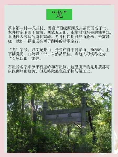 龙井茶产地在哪里_正宗西湖龙井核心产区有哪些-第3张图片-山城妙识 龙井茶产地在哪里_正宗西湖龙井核心产区有哪些-第3张图片-山城妙识