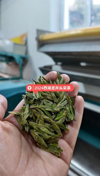龙井茶产地在哪里_正宗西湖龙井核心产区有哪些-第2张图片-山城妙识 龙井茶产地在哪里_正宗西湖龙井核心产区有哪些-第2张图片-山城妙识
