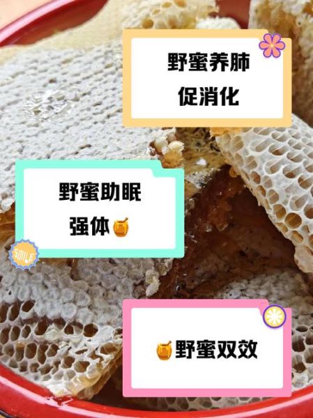 野生蜂蜜的功效与作用_野生蜂蜜能治病吗-第2张图片-山城妙识